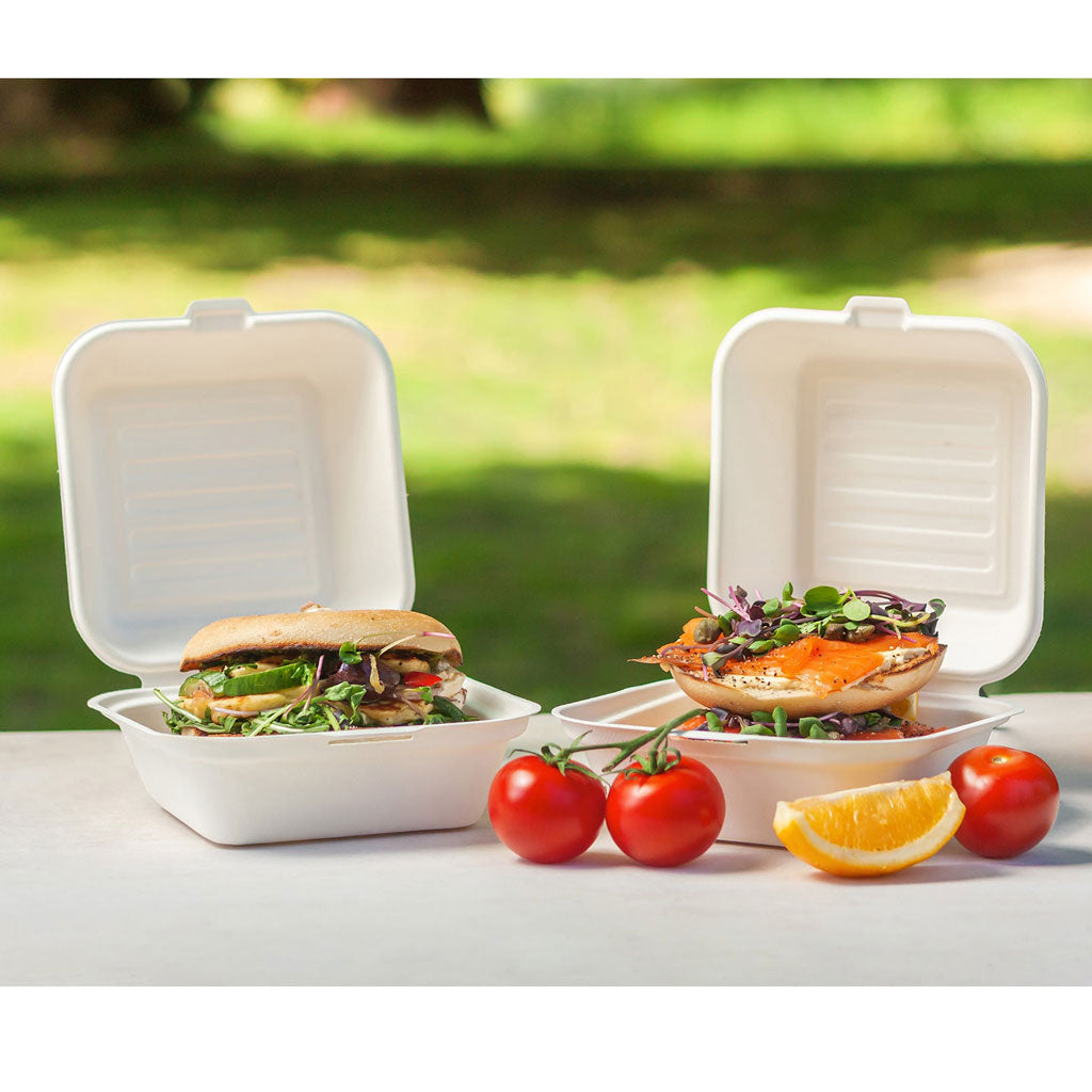 Sugar Cane Regular Burger Clam 150x150x80mm | 50/Pack – Lloyd Holt ...